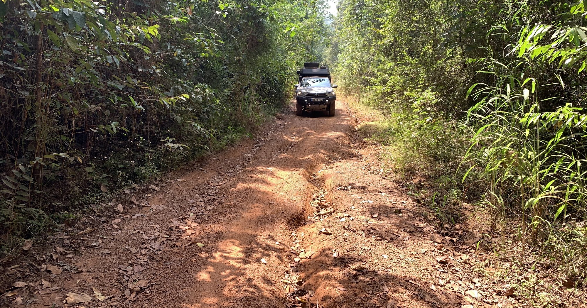 Afrika 2023: Kambana – Gola Forest National Park - Wolfgang Kleinbach