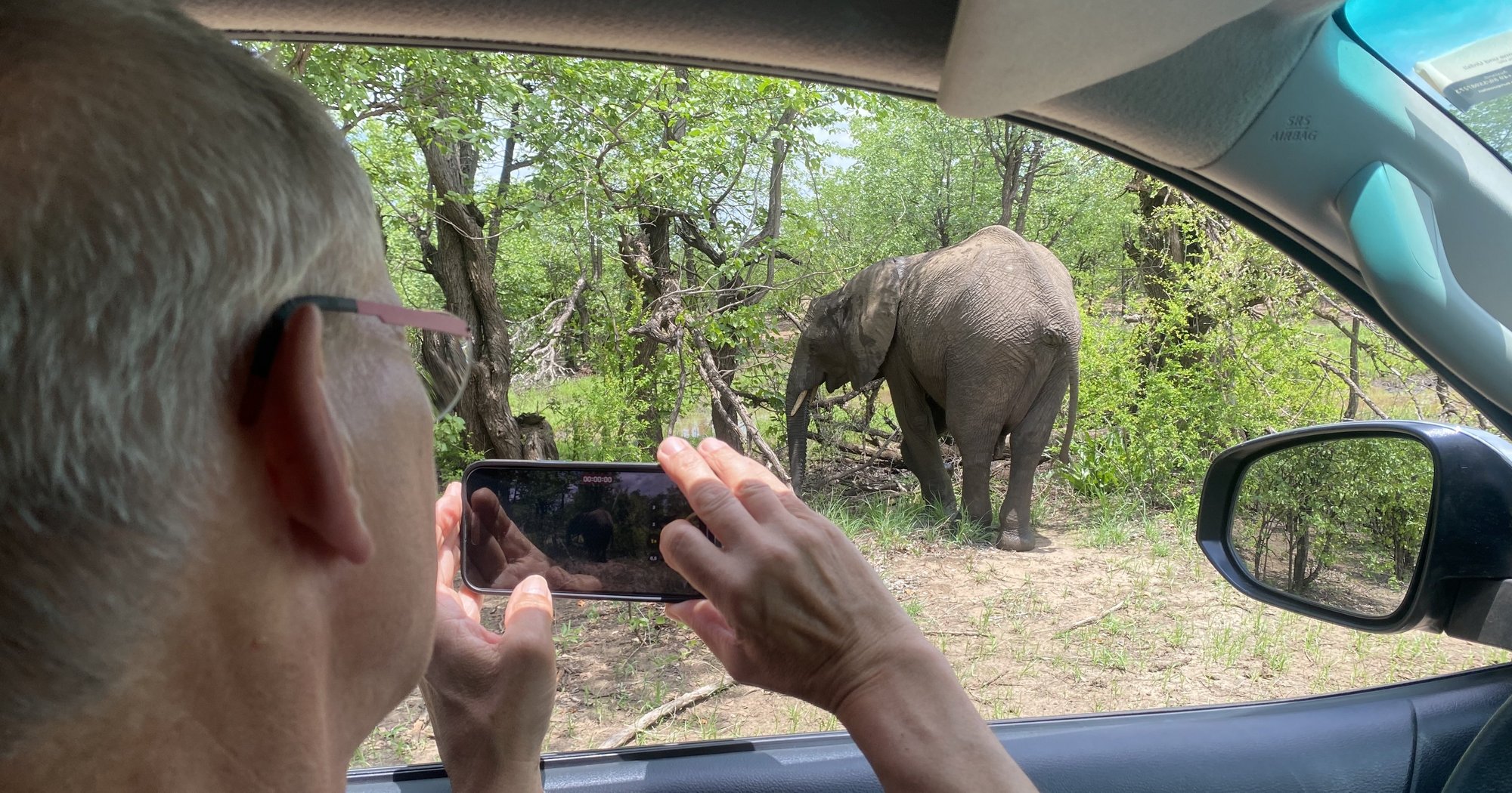 Südliches Afrika 2024: Balule – Letaba - Wolfgang Kleinbach